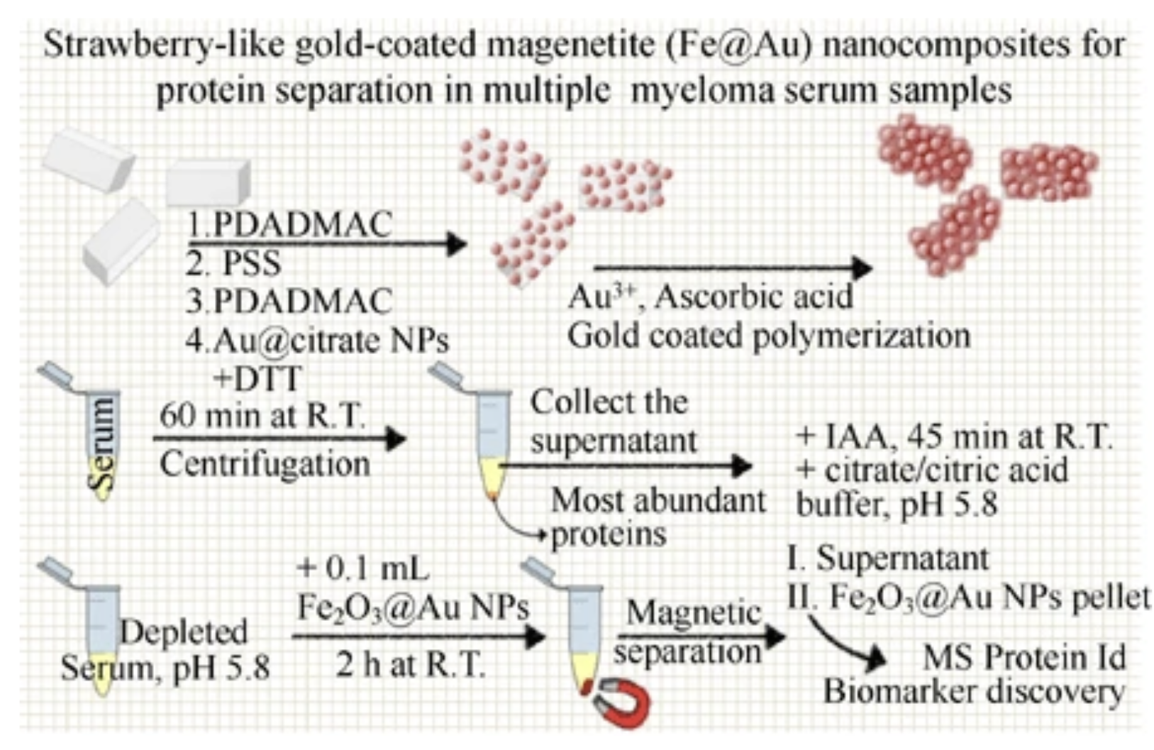 Magnetic Nanoparticles – NanoExplorer – Discovering a Diminute World