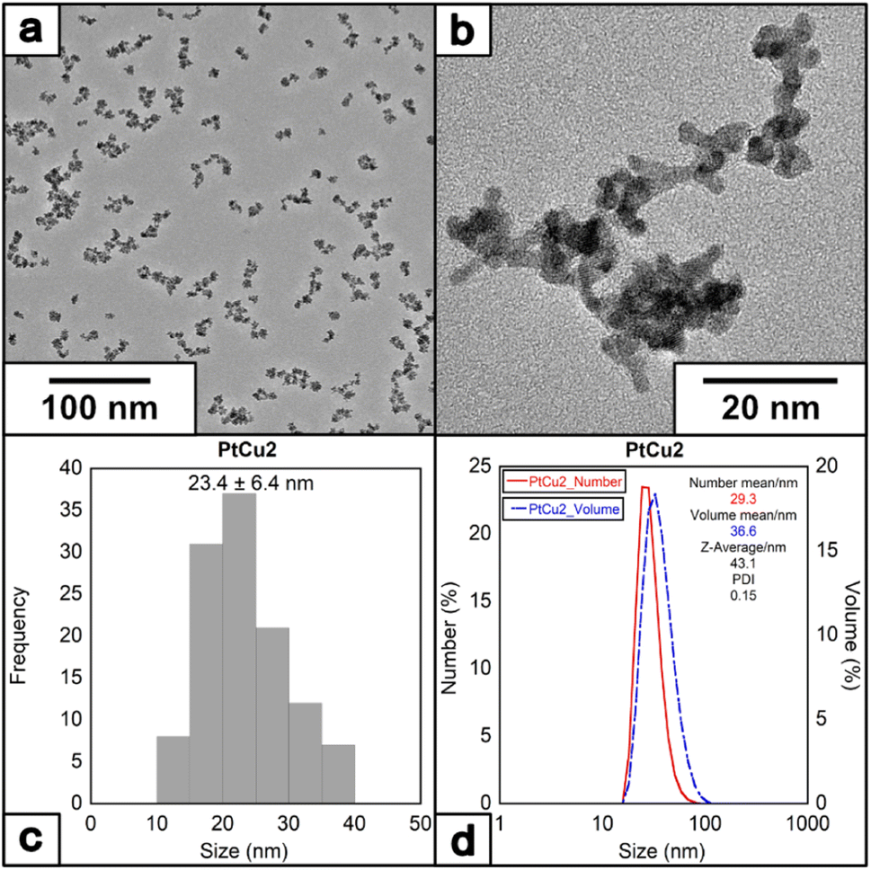 Noble Metals NPs – NanoExplorer – Discovering a Diminute World
